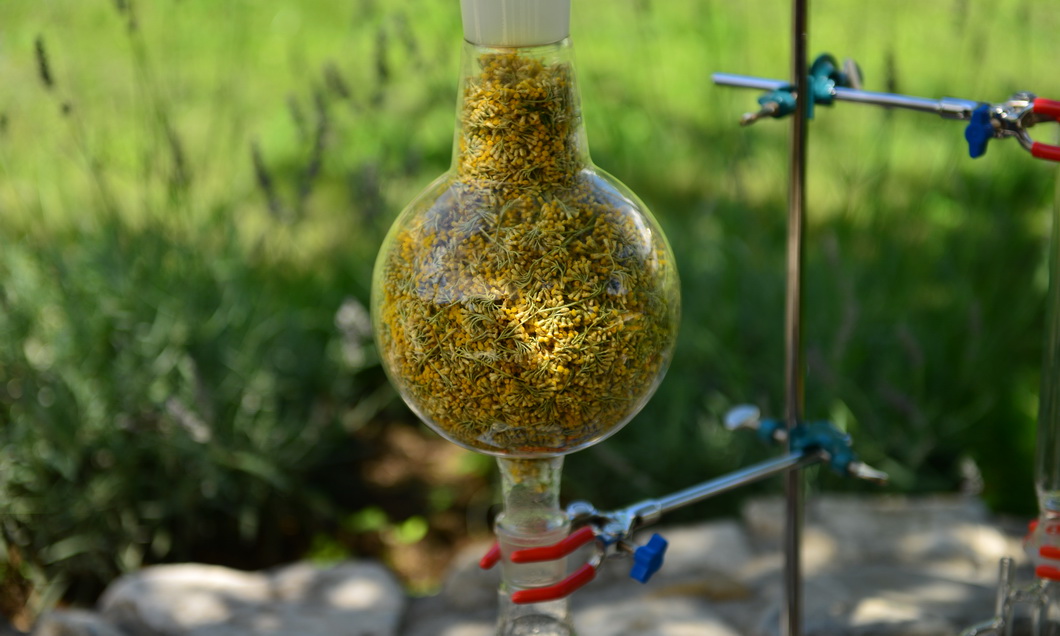 Steklen destilator za domačo uporabo | Naravni kotiček